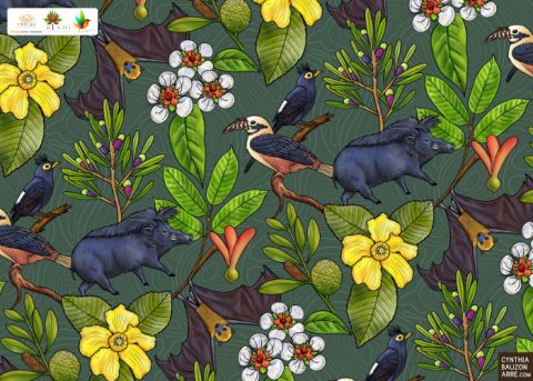 EDC BINHI Flagship Flora & Fauna Illustrations | Cynthia Bauzon-Arre